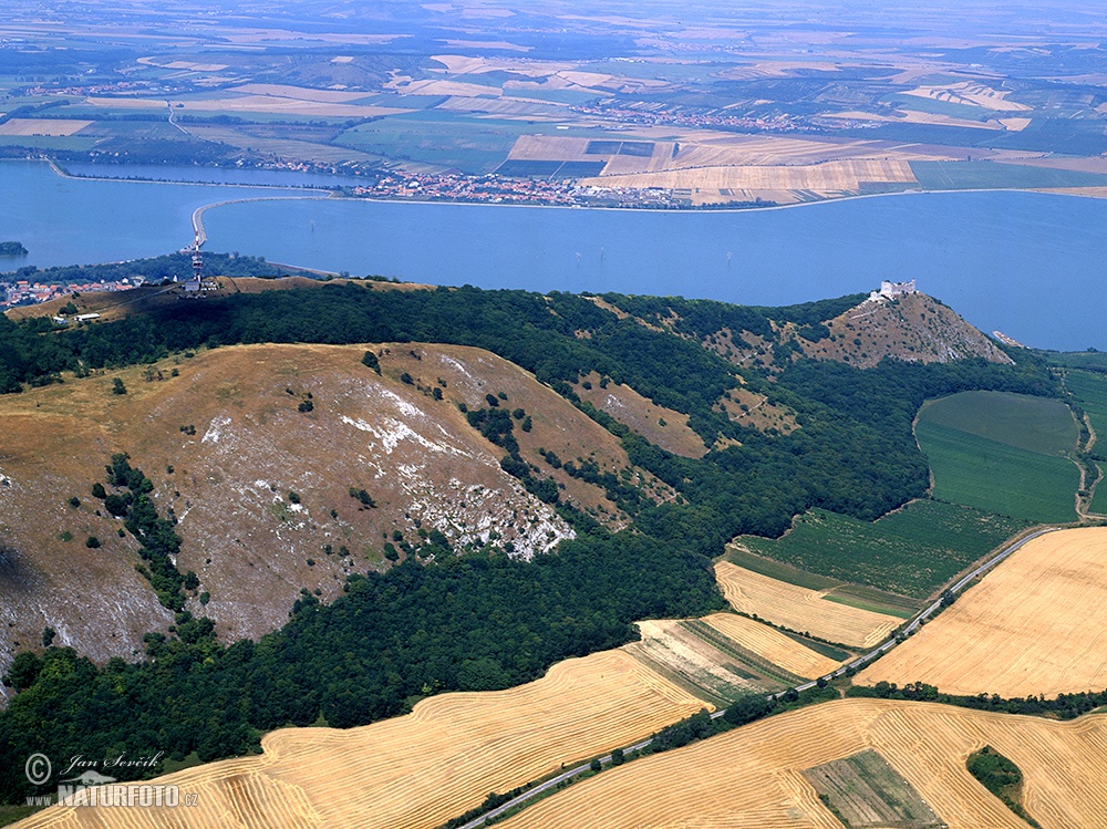 Pavlovské vrchy | Naturfoto.cz